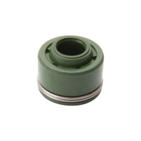 Pro X Intake Valve Stem Seal – Ruthless Motor Sports